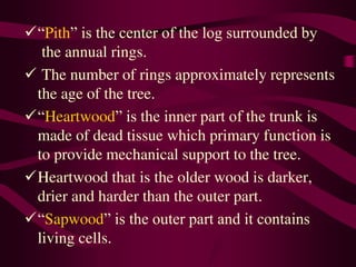 Timber, its use and conections | PDF