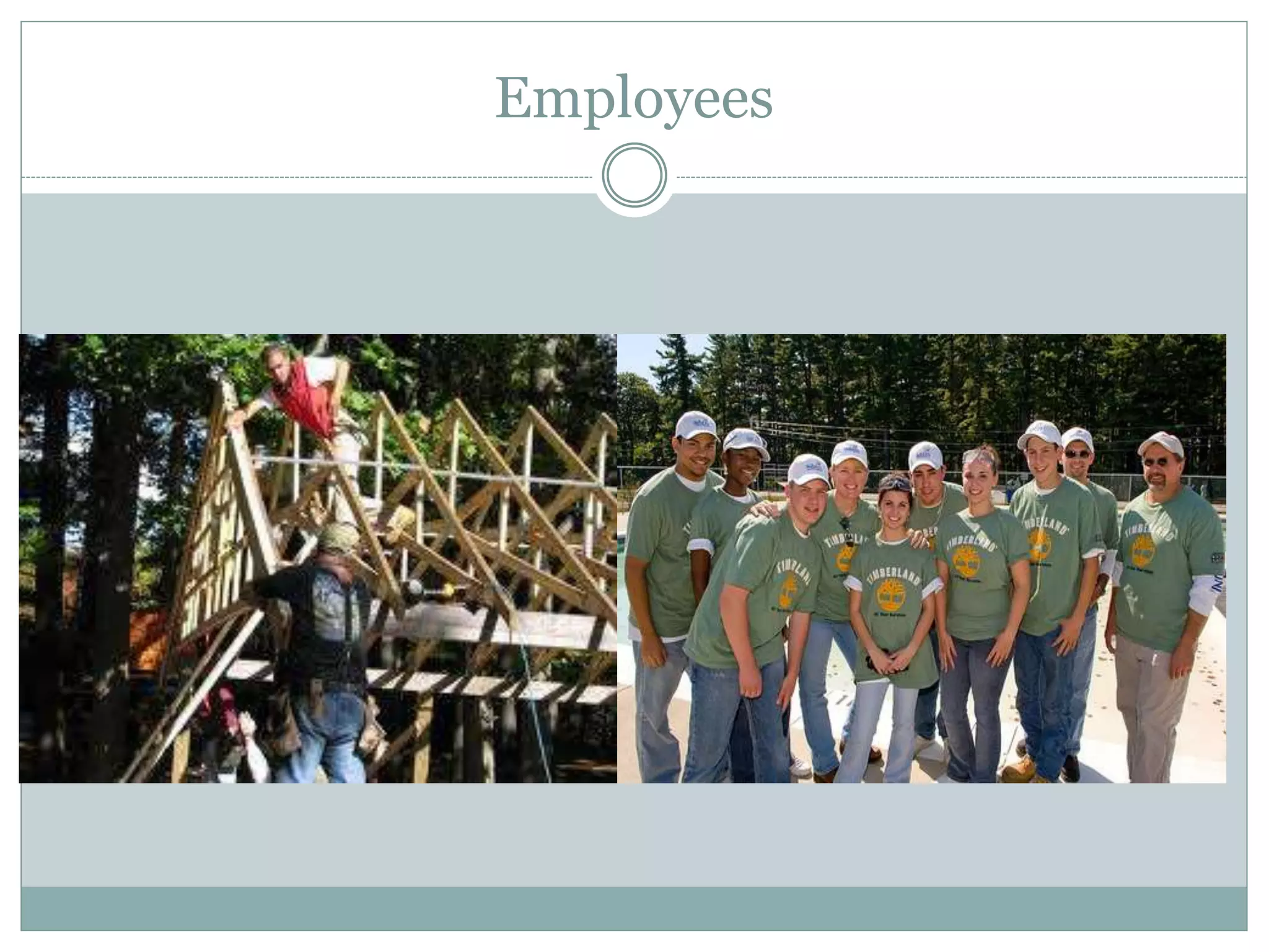 Timberland Case Study | PPTX