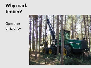 Timber Marking Ppt Slideshow & Notes Part 1 Ppt97 | PPT