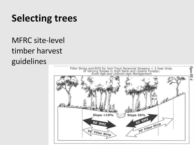 Timber Marking Ppt Slideshow & Notes Part 1 Ppt97 | PPT
