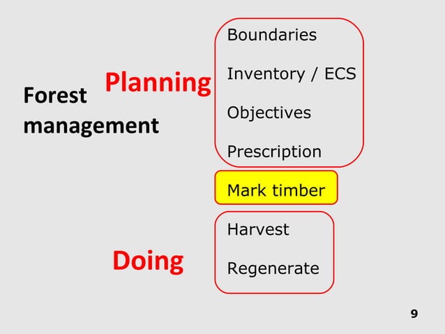 Timber Marking Ppt Slideshow & Notes Part 1 Ppt97 | PPT