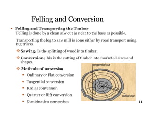 Timber ppt final | PPTX
