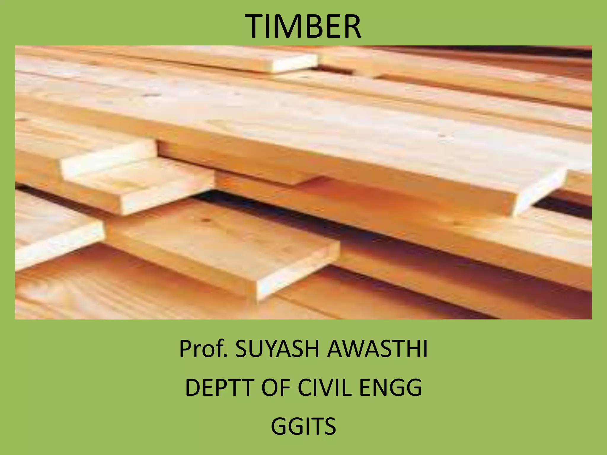 TIMBER PPT SA JBP | PPT