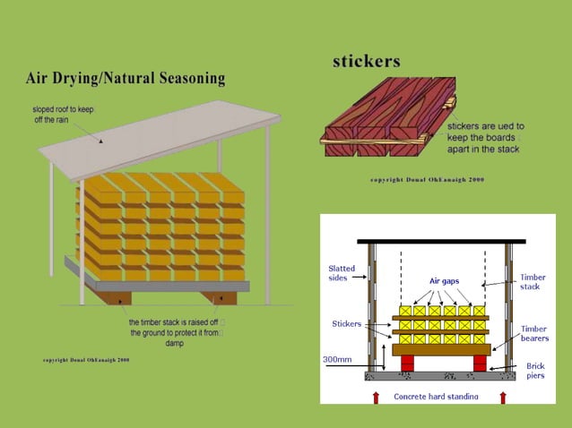 TIMBER PPT SA JBP | PPT