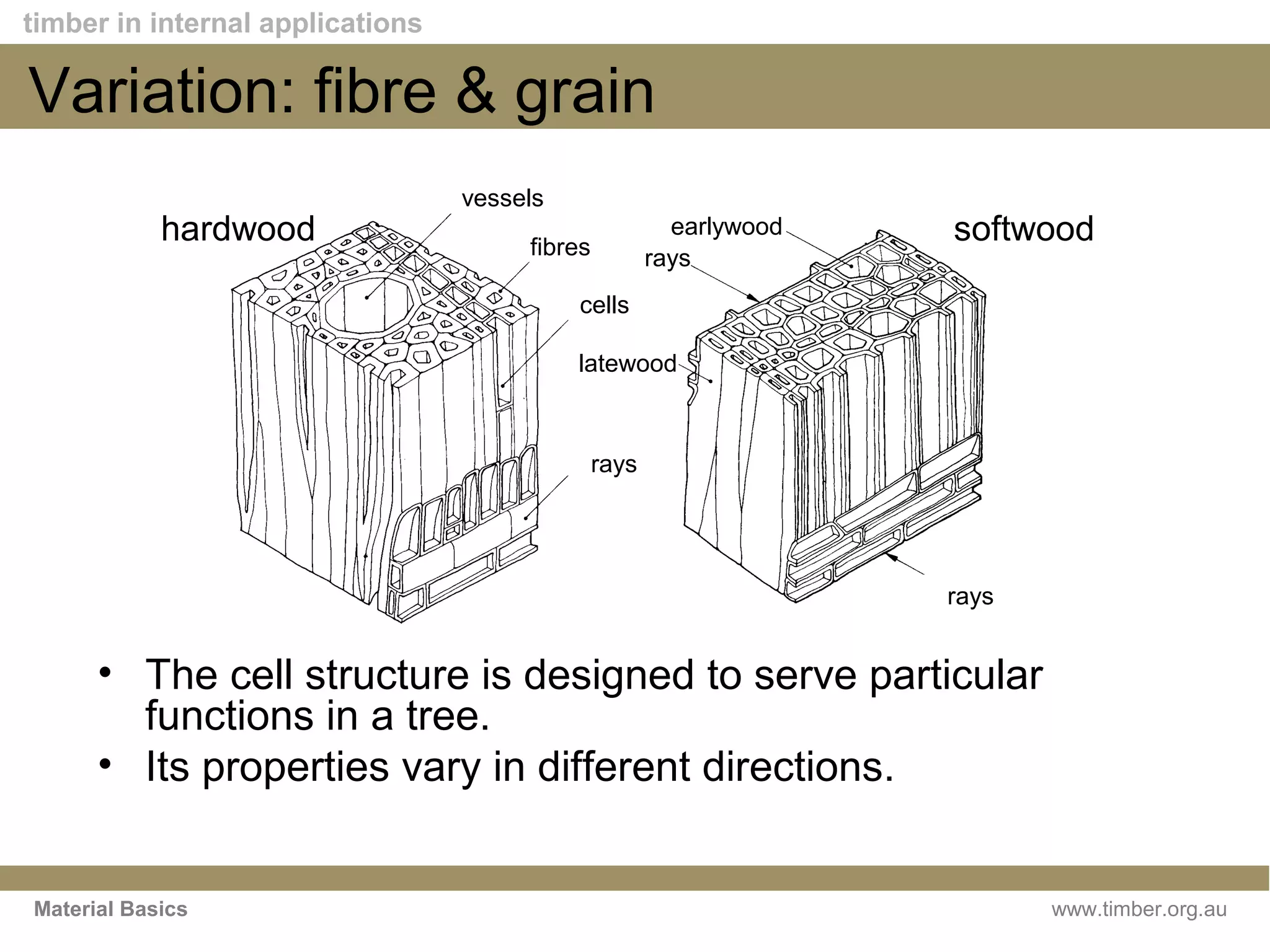 Timber Products | PPT