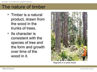 Timber Products | PPT
