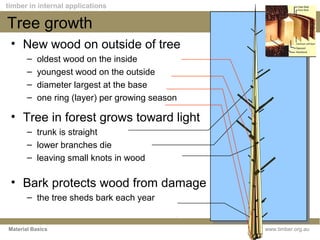 Timber Products | PPT
