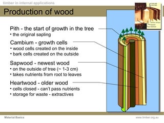 Timber Products | PPT