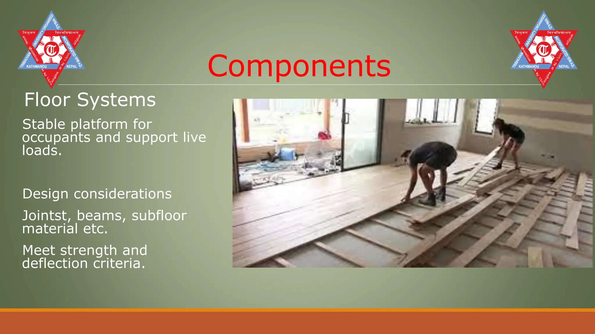 Timber Structure.pdf