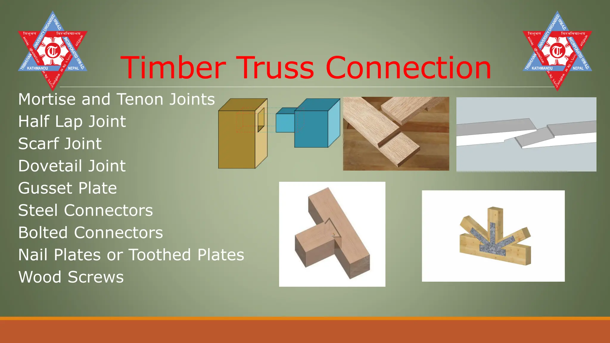 Timber Structure.pdf