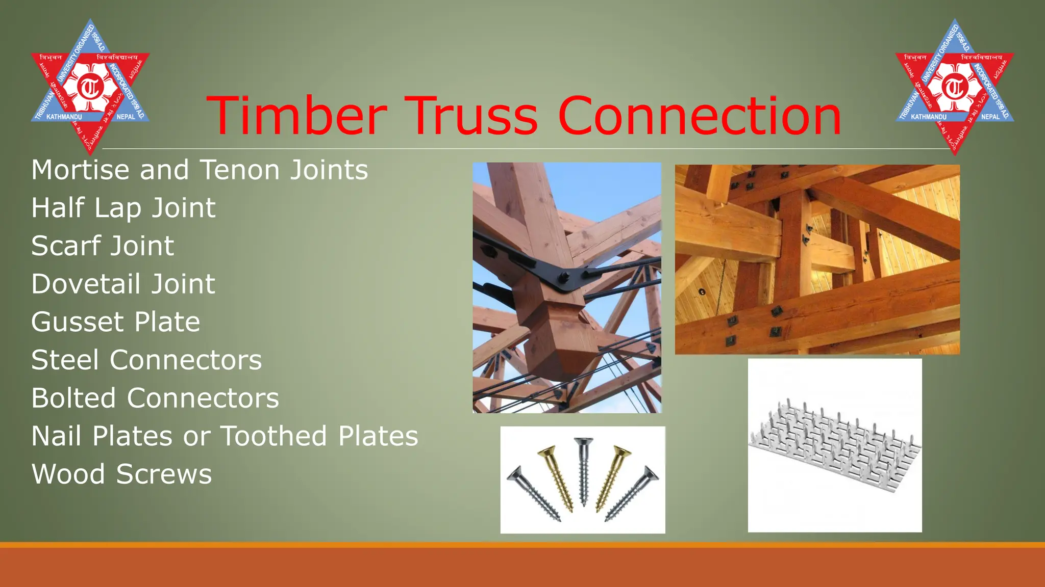 Timber Structure.pdf