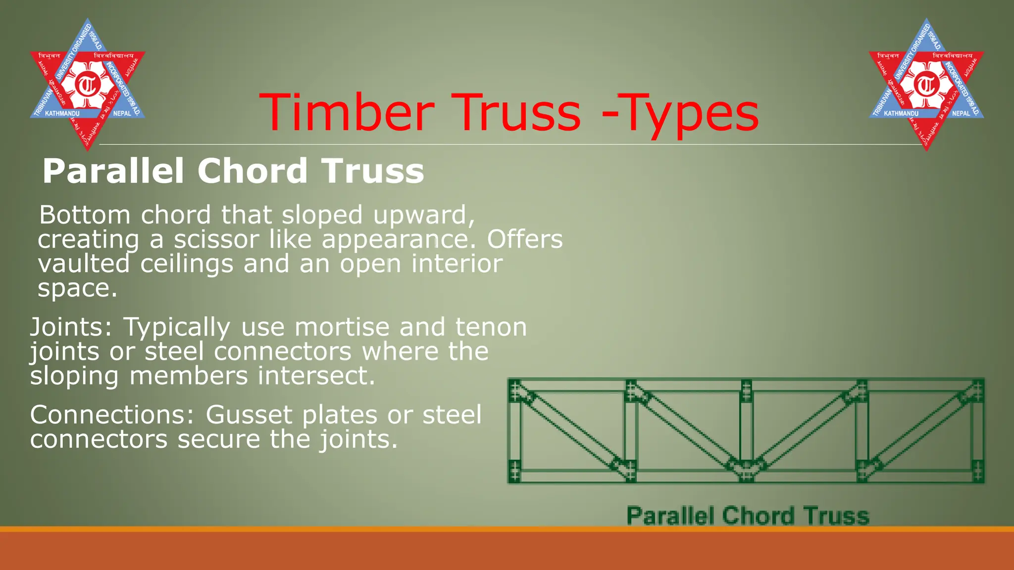 Timber Structure.pdf