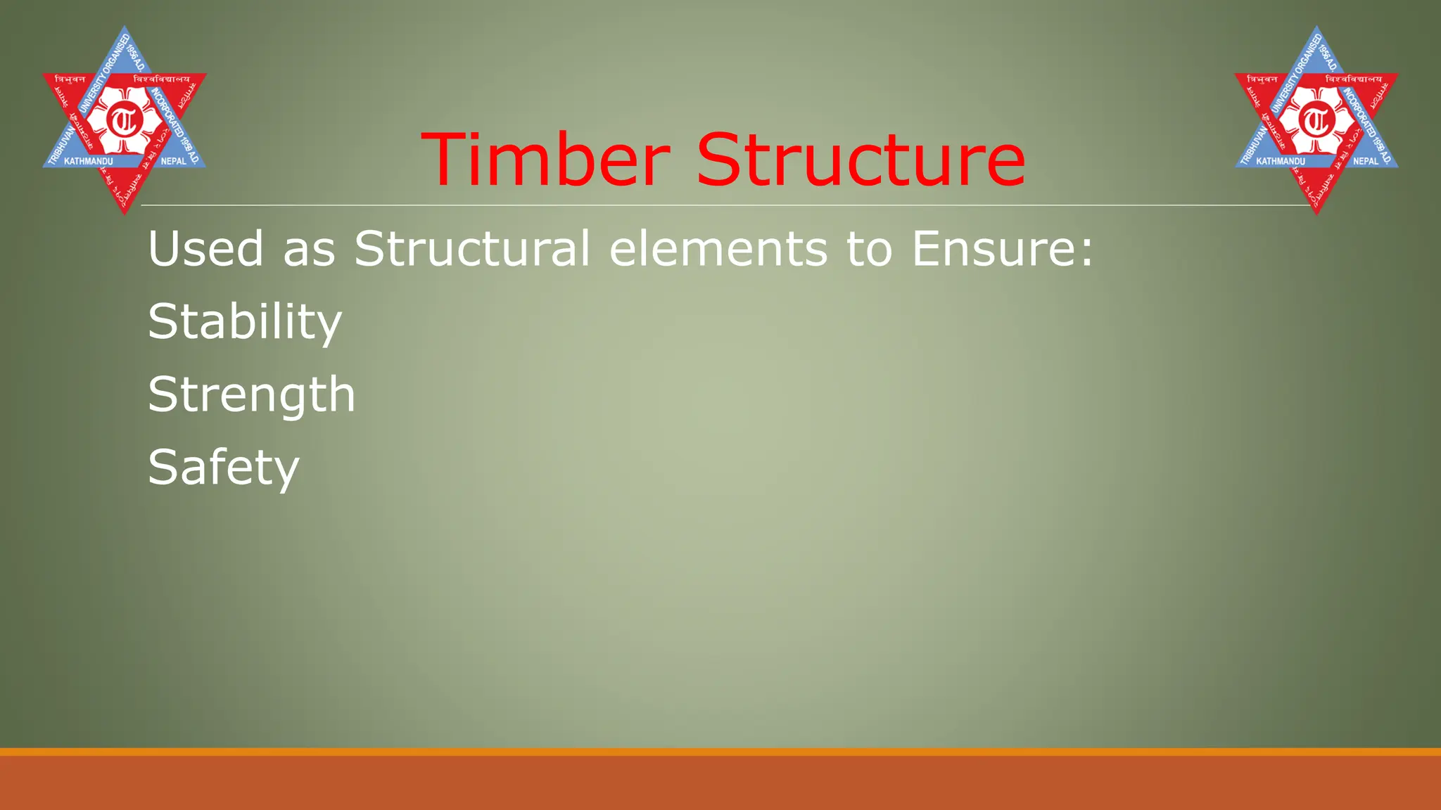 Timber Structure.pdf