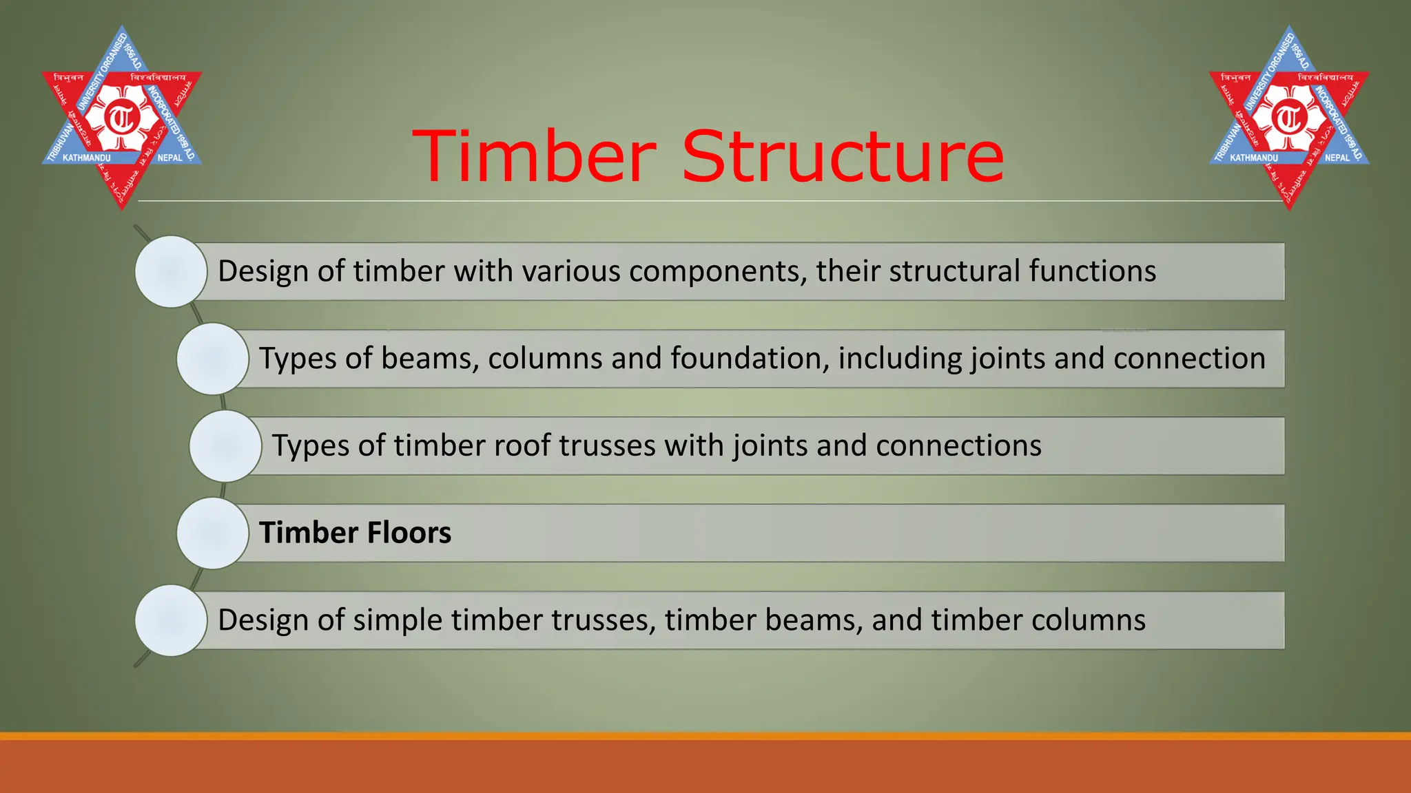 Timber Structure.pdf