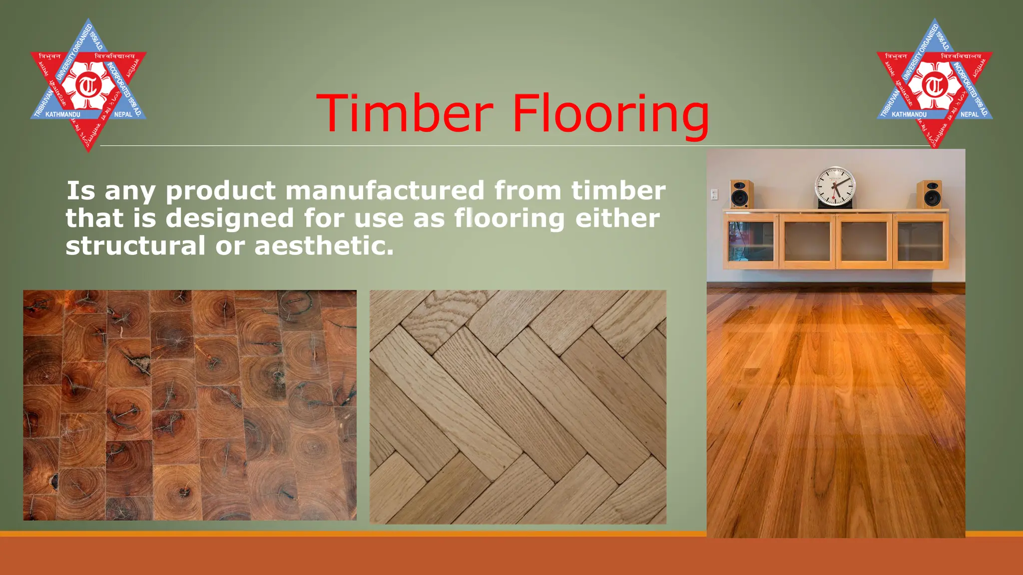 Timber Structure.pdf