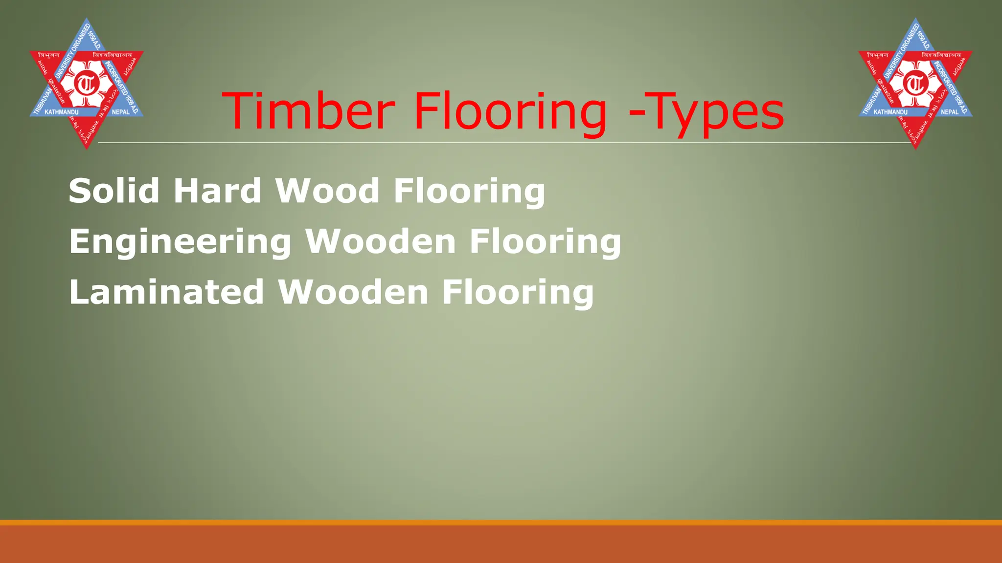 Timber Structure.pdf