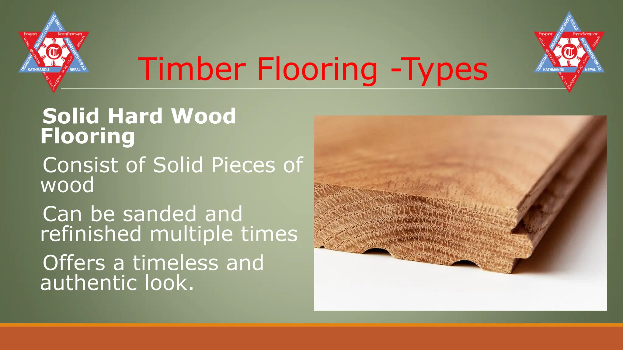 Timber Structure.pdf