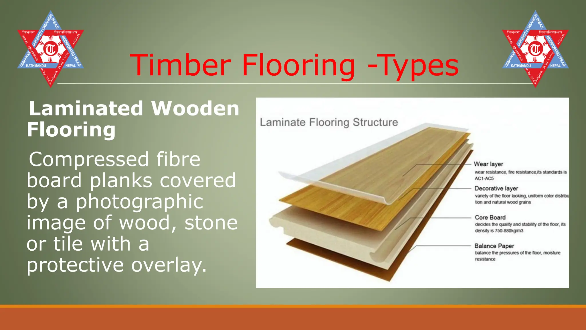Timber Structure.pdf