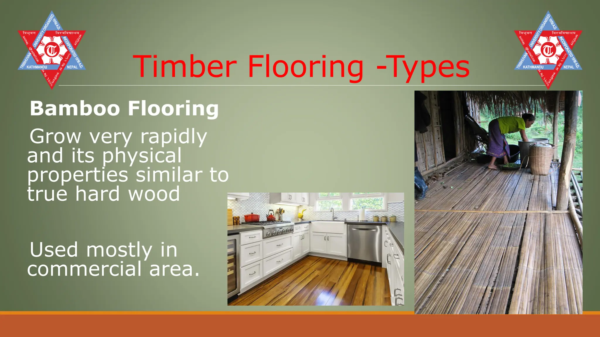 Timber Structure.pdf