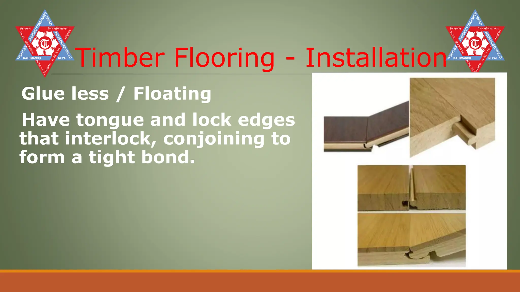 Timber Structure.pdf