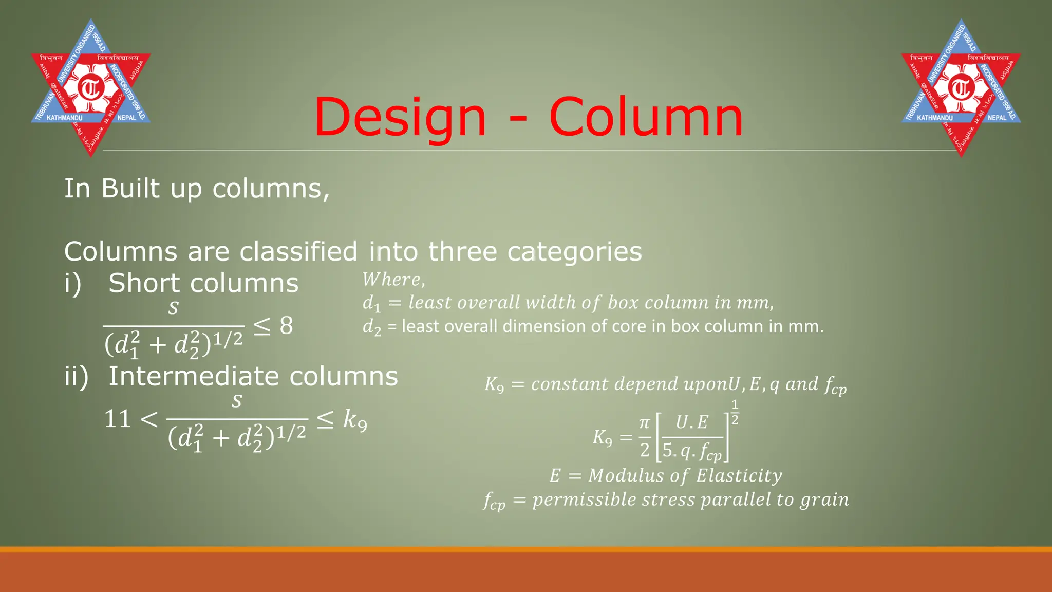 Timber Structure.pdf