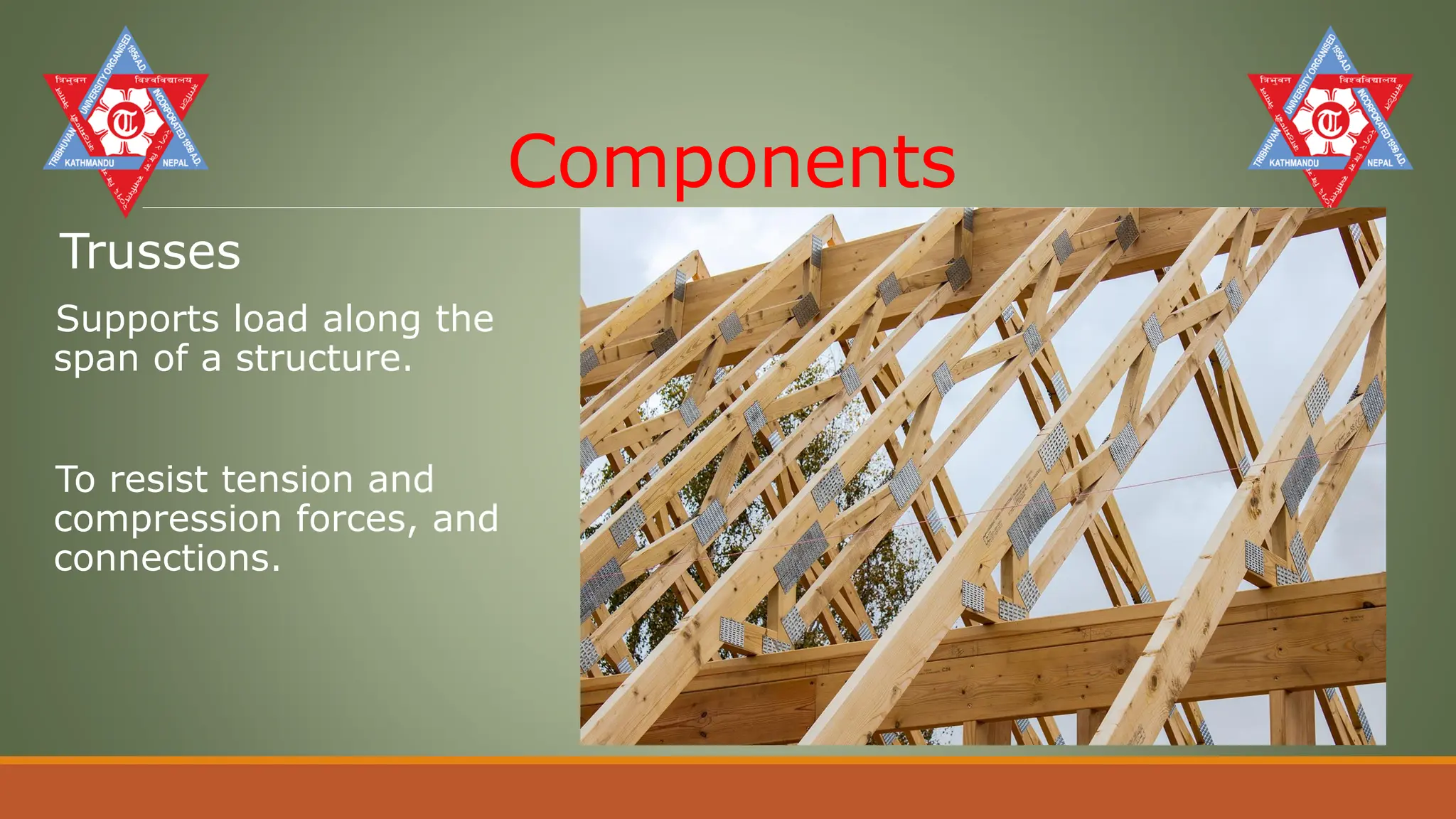 Timber Structure.pdf