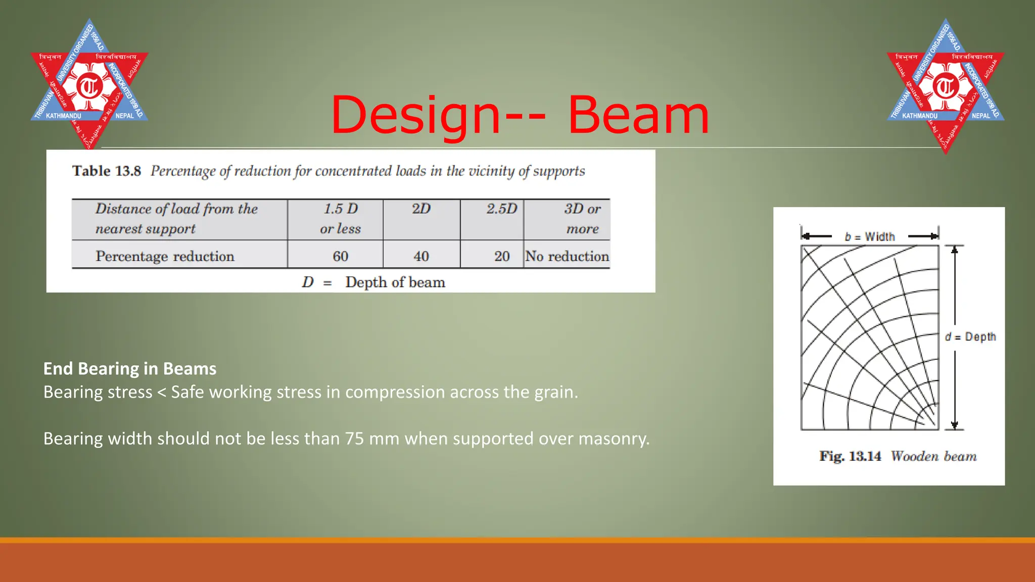 Timber Structure.pdf