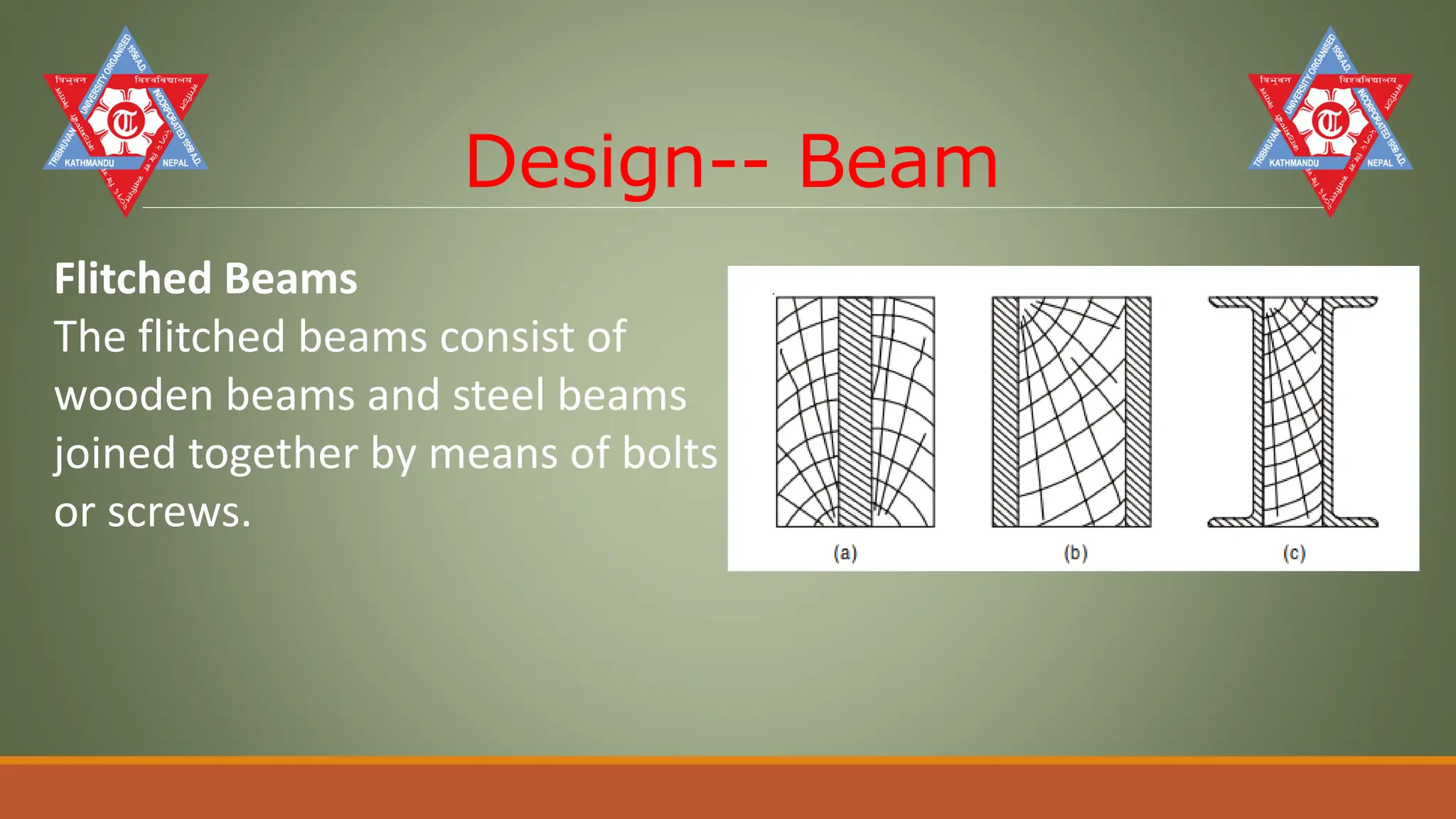 Timber Structure.pdf