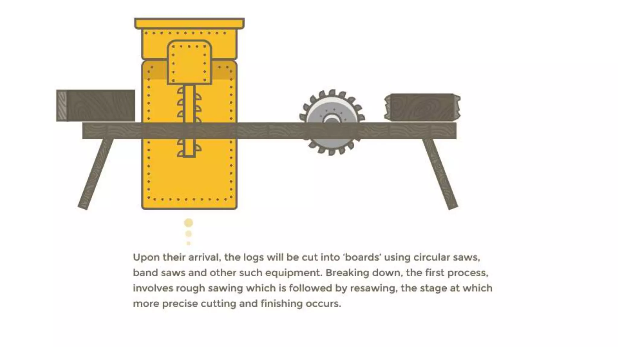 Timber timeline | PPTX