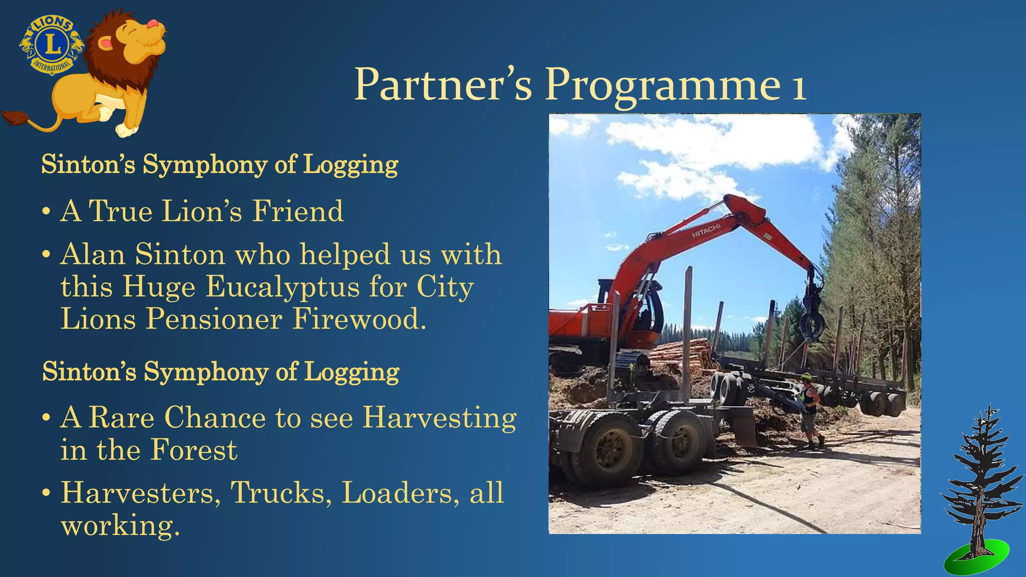 Timber town romp3 | PPTX