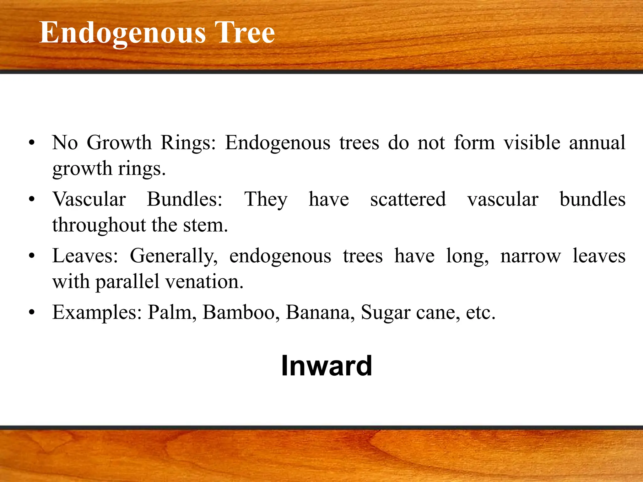 Timber Vocations for Civil Engineering.pptx