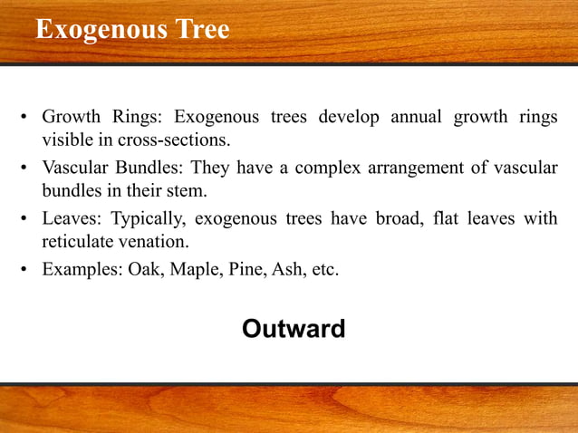 Timber Vocations for Civil Engineering.pptx