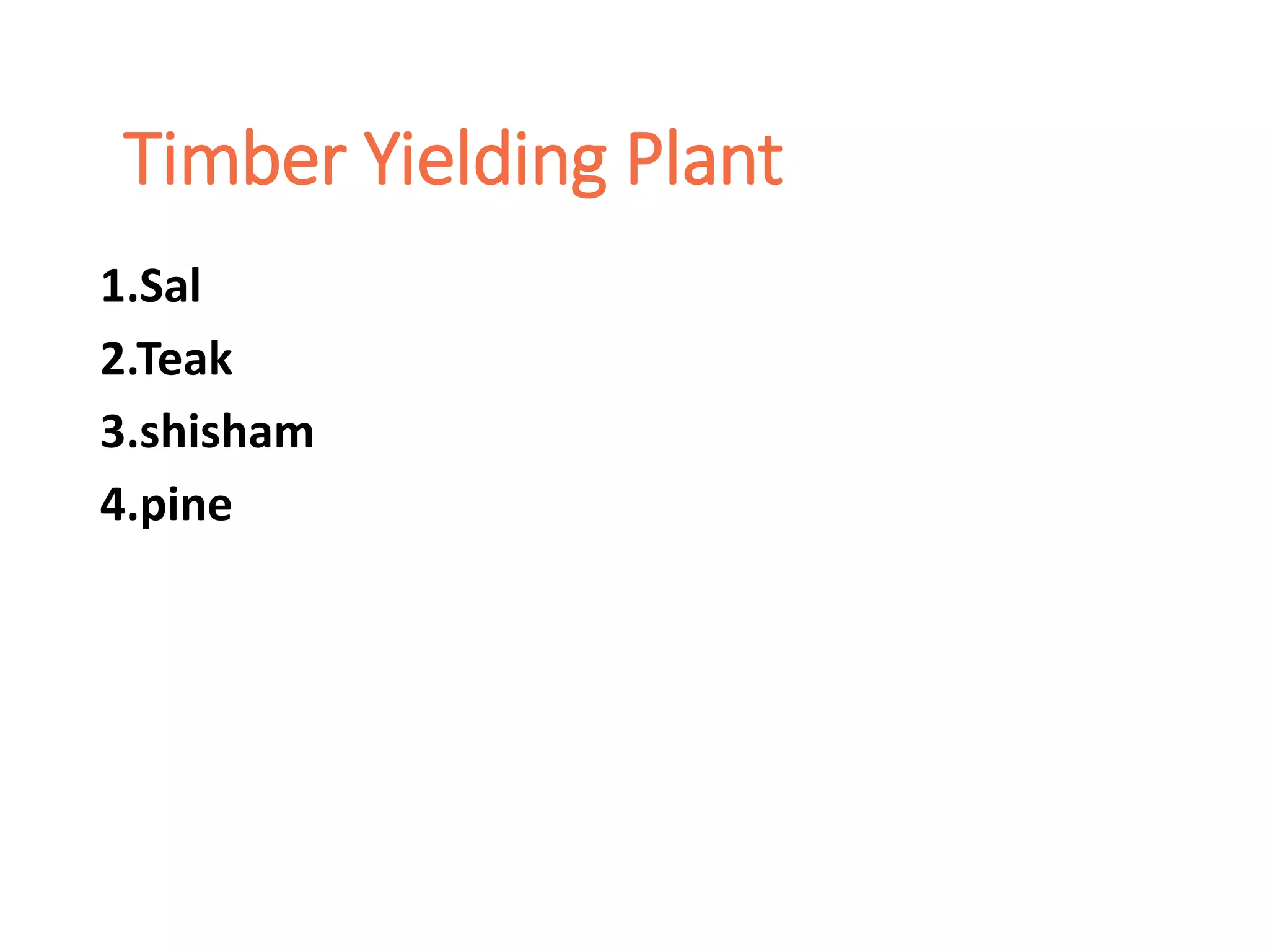 Timber yielding Plant | PPTX