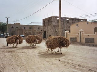 Timbuktu - Mali - West Africa | PPS | Africa Travel | Travel Locations