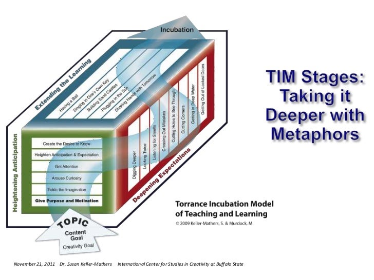 Tim education model