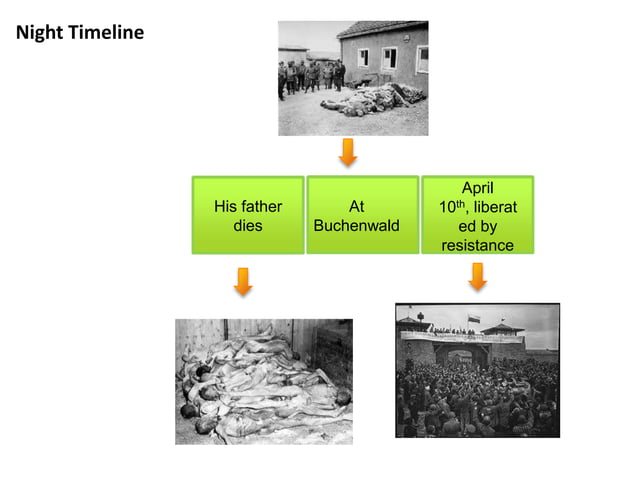 Night Timeline | PPTX | Death, Injury, or Military Conflict | Sensitive ...