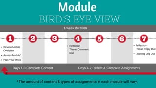 Module at a Bird's Eye View | PPT