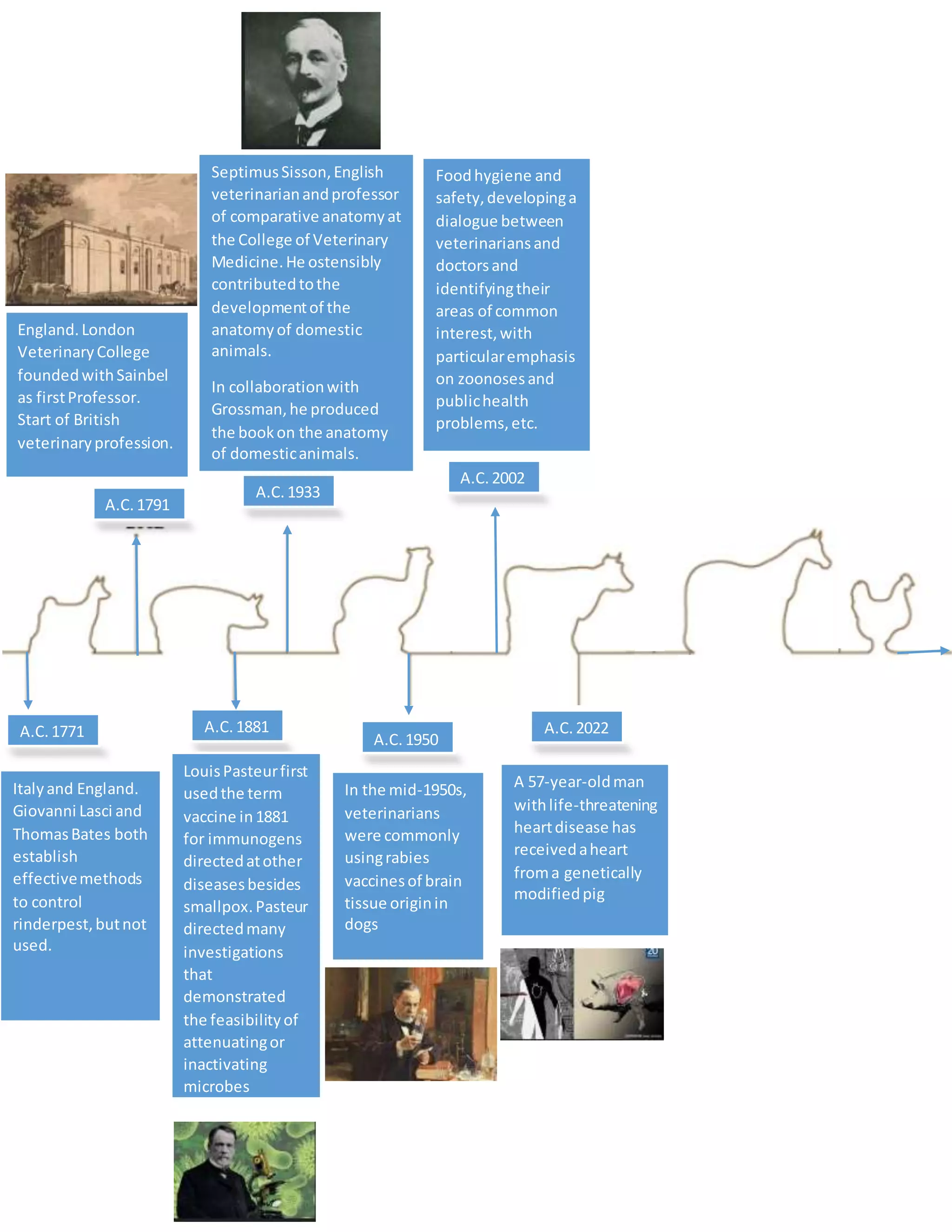 Timeline history of vet.docx