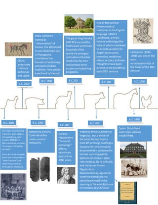 Timeline history of vet.docx