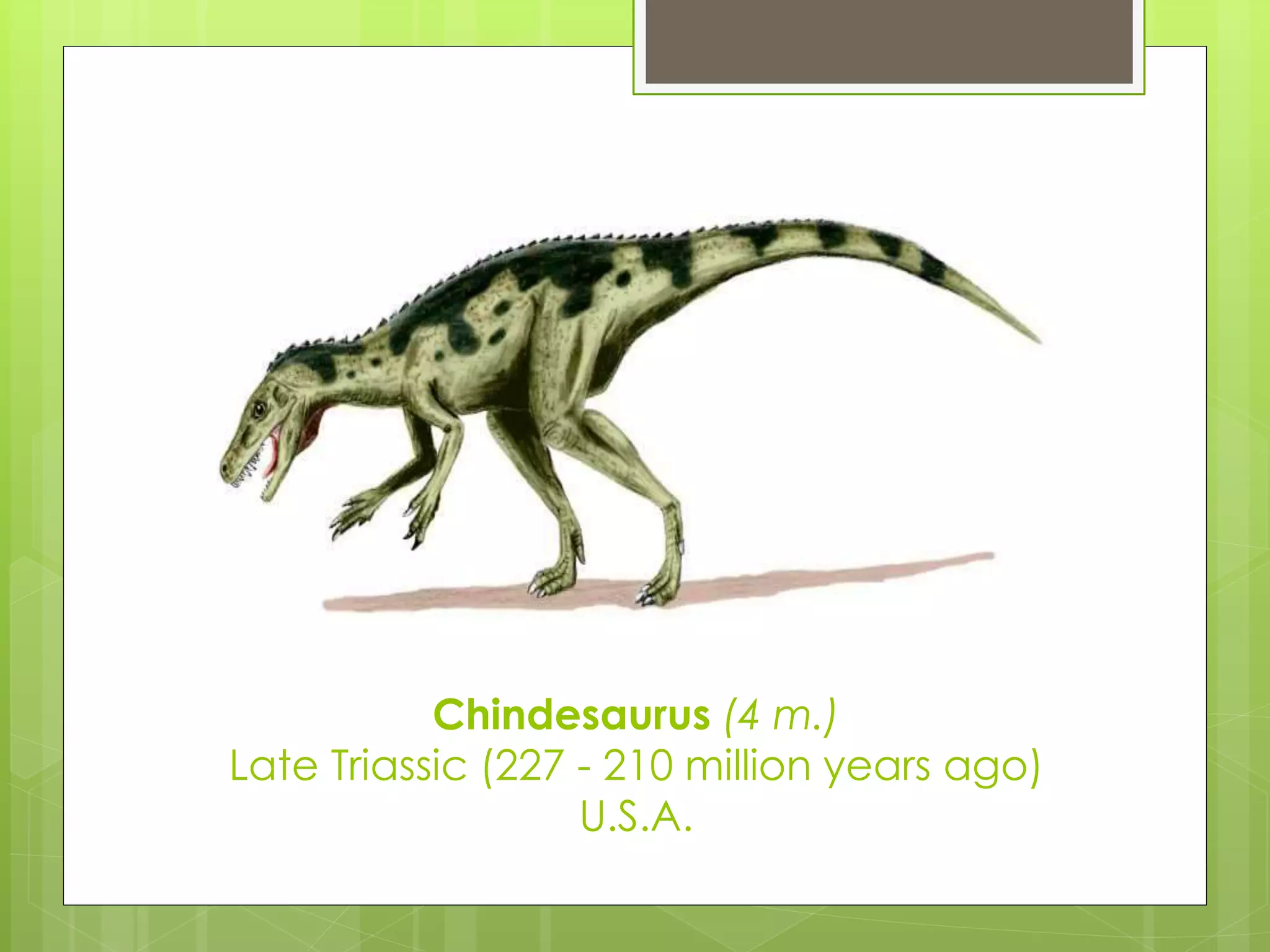 Timeline of Dinosaur | PPTX