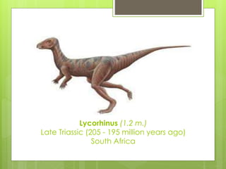 Timeline of Dinosaur | PPTX