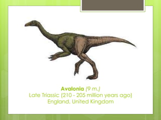 Avalonia Dinosaur
