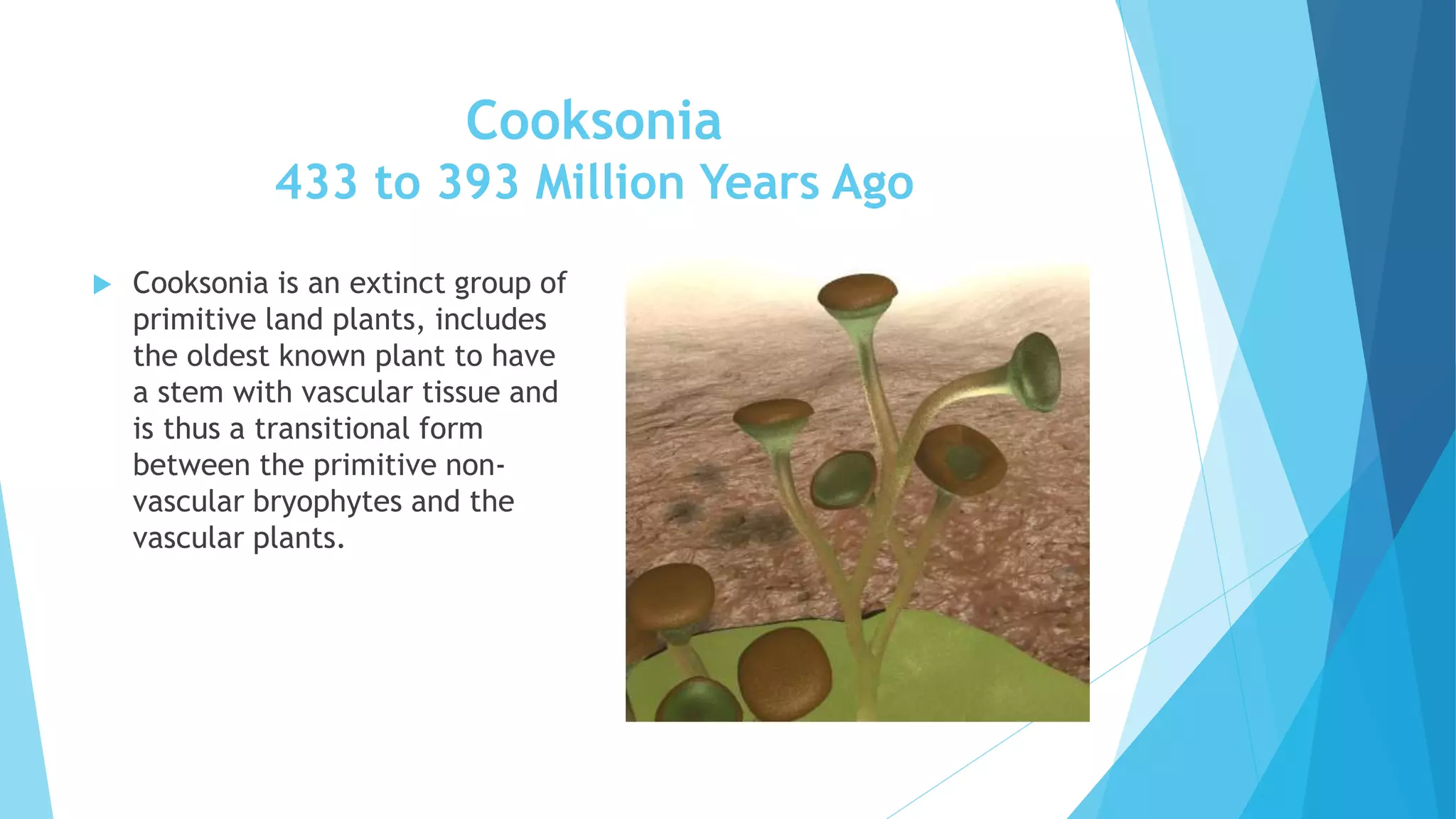 Time line of extinction | PPTX