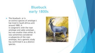 Time line of extinction | PPTX