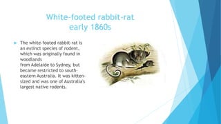 Time line of extinction | PPTX