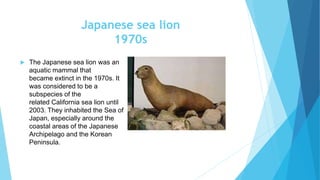 Time line of extinction | PPTX | Infectious Diseases | Diseases and ...