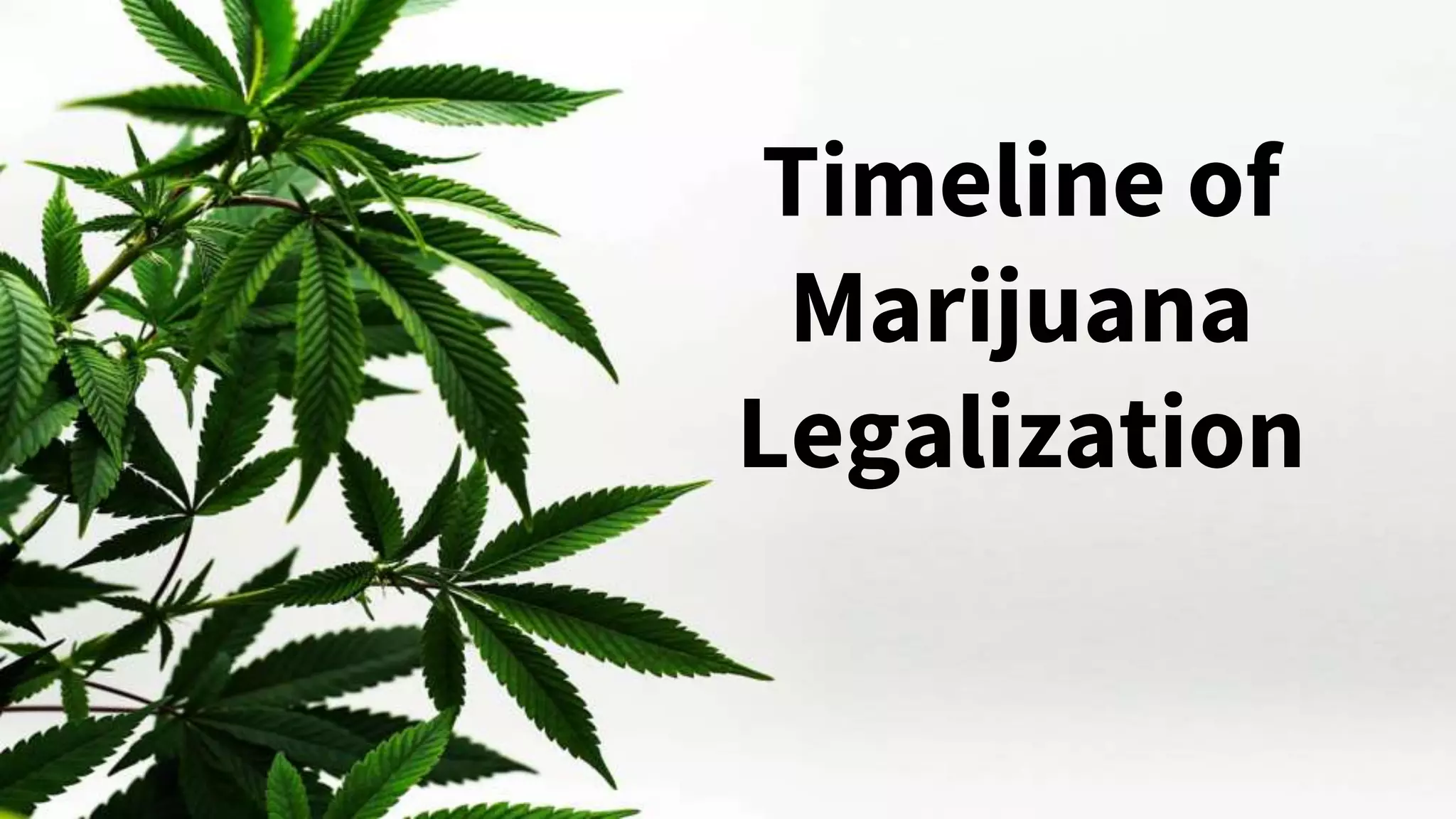 Timeline of Marijuana Legalization.pptx