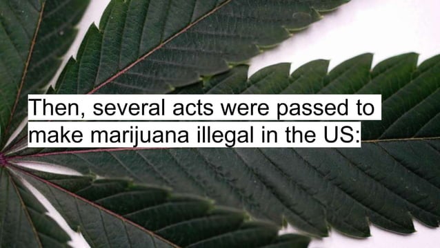 Timeline of Marijuana Legalization.pptx