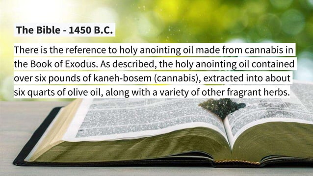 Timeline of Marijuana Legalization.pptx