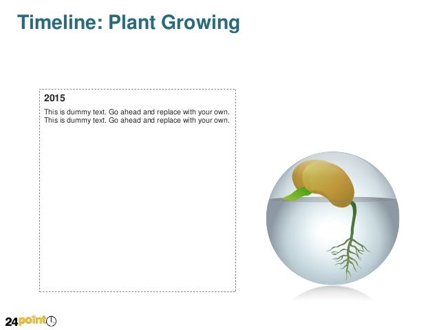 Plants Powerpoint And Interactive Activities